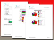 Network Detective Reports